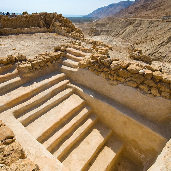 Women in the Community at Qumran - New Perspectives - BFHU