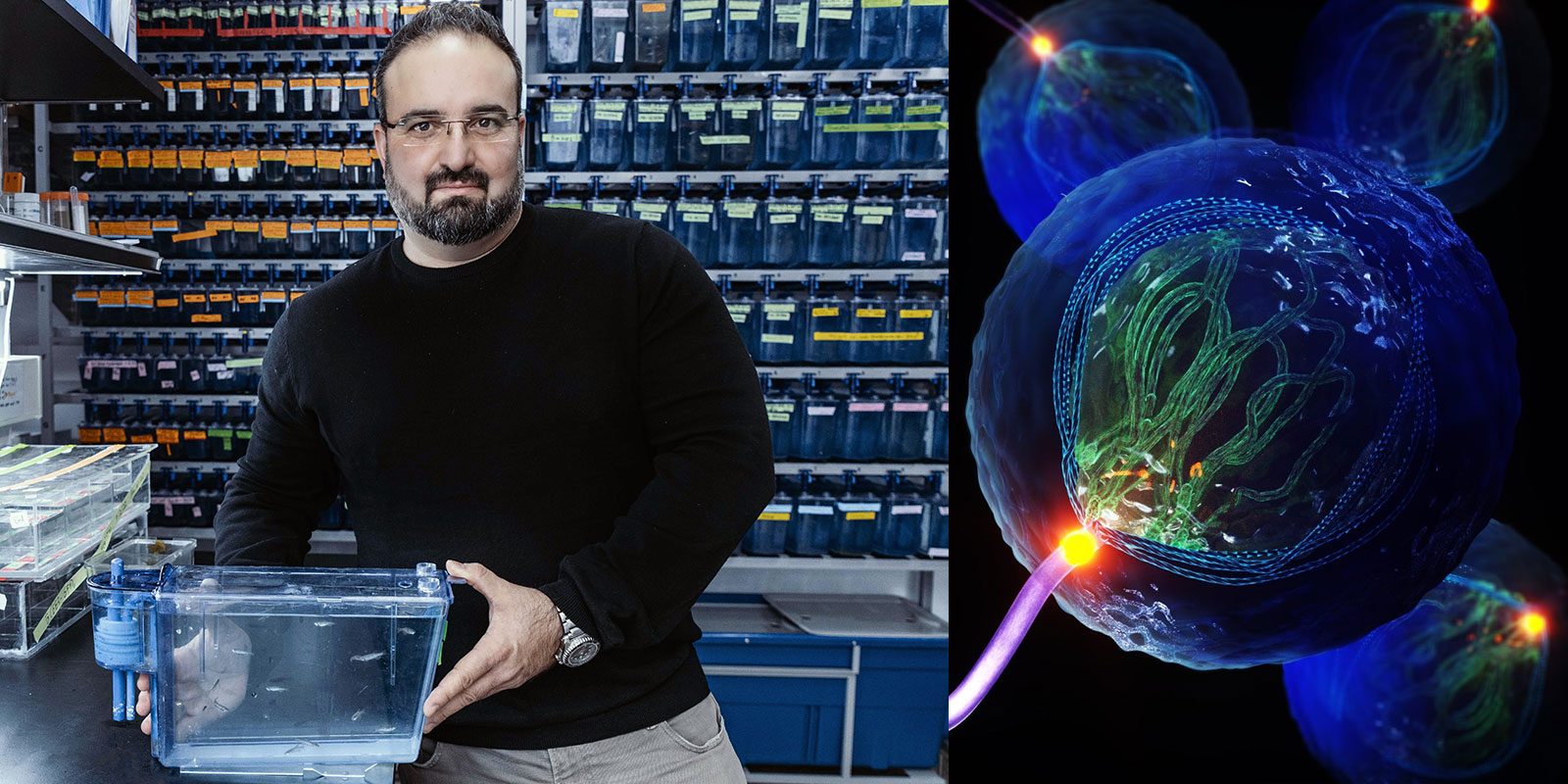 Groundbreaking Research Could Lead to Better Understanding of Human ...