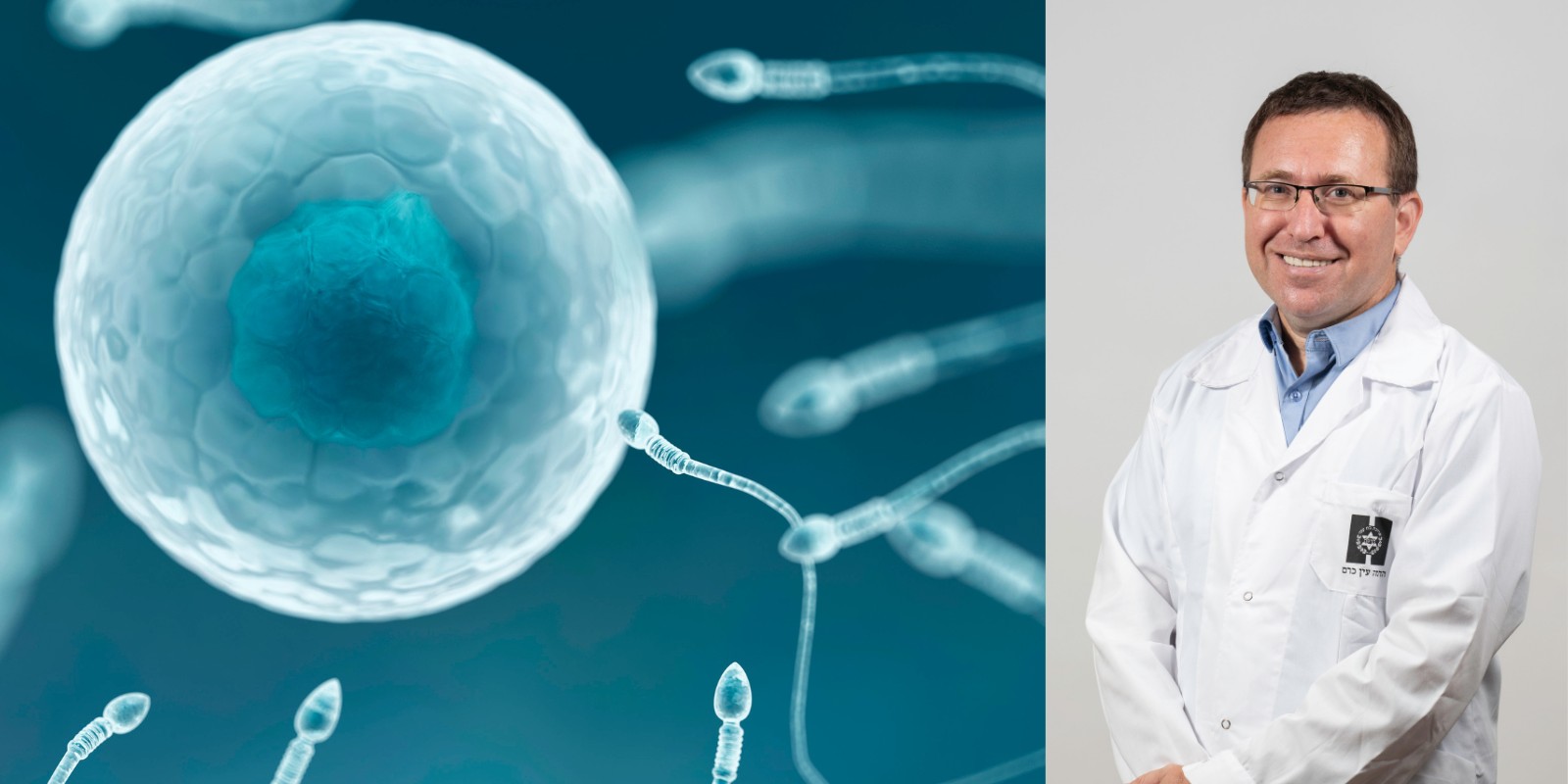 Study Shows Significant Decline In Sperm Counts Globally - BFHU