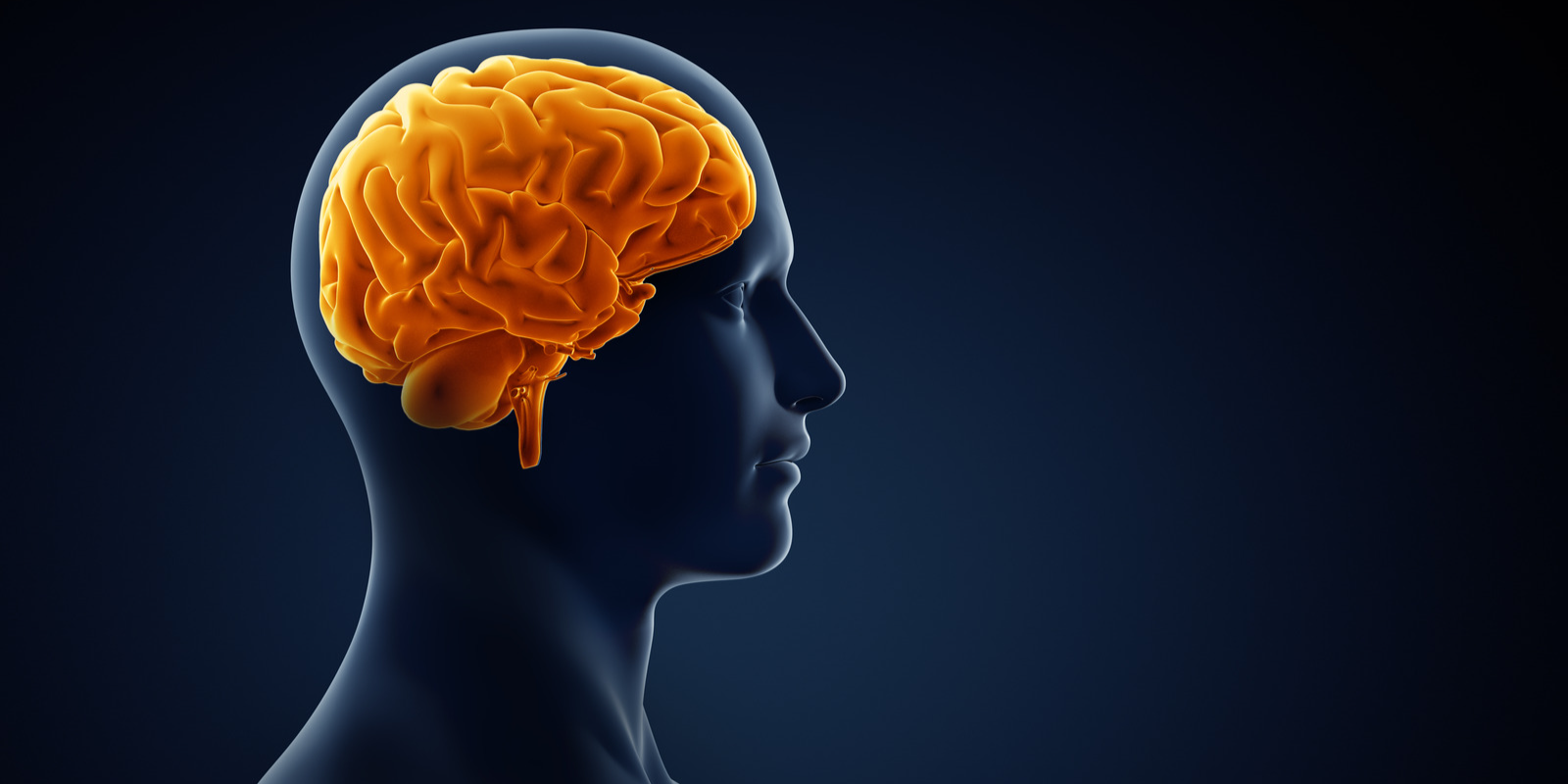 HU Researchers Discover Cause of Rare Brain Disorder - BFHU