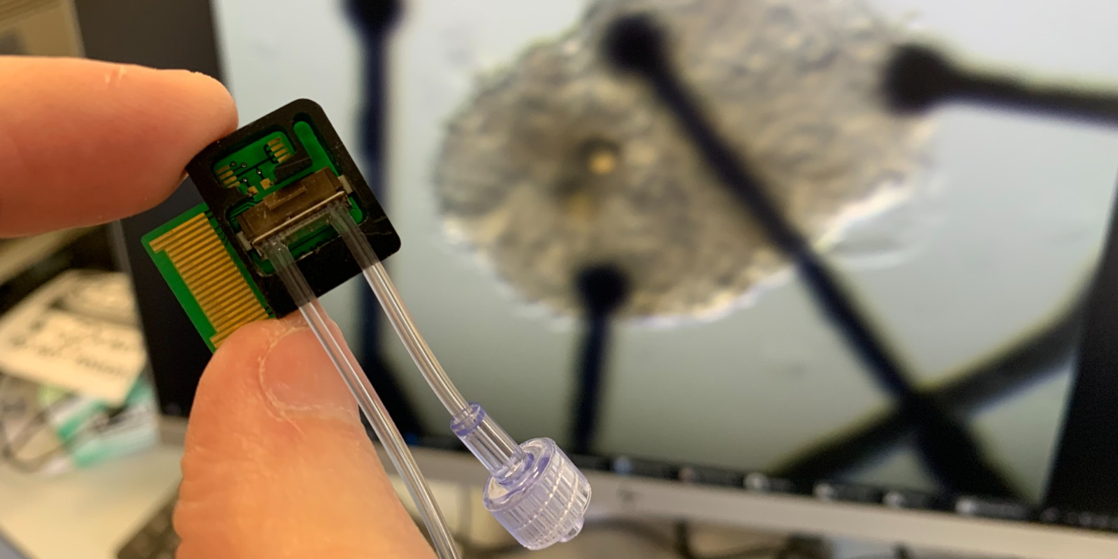 New Discovery Marks a New Era in Cardiovascular Research - BFHU