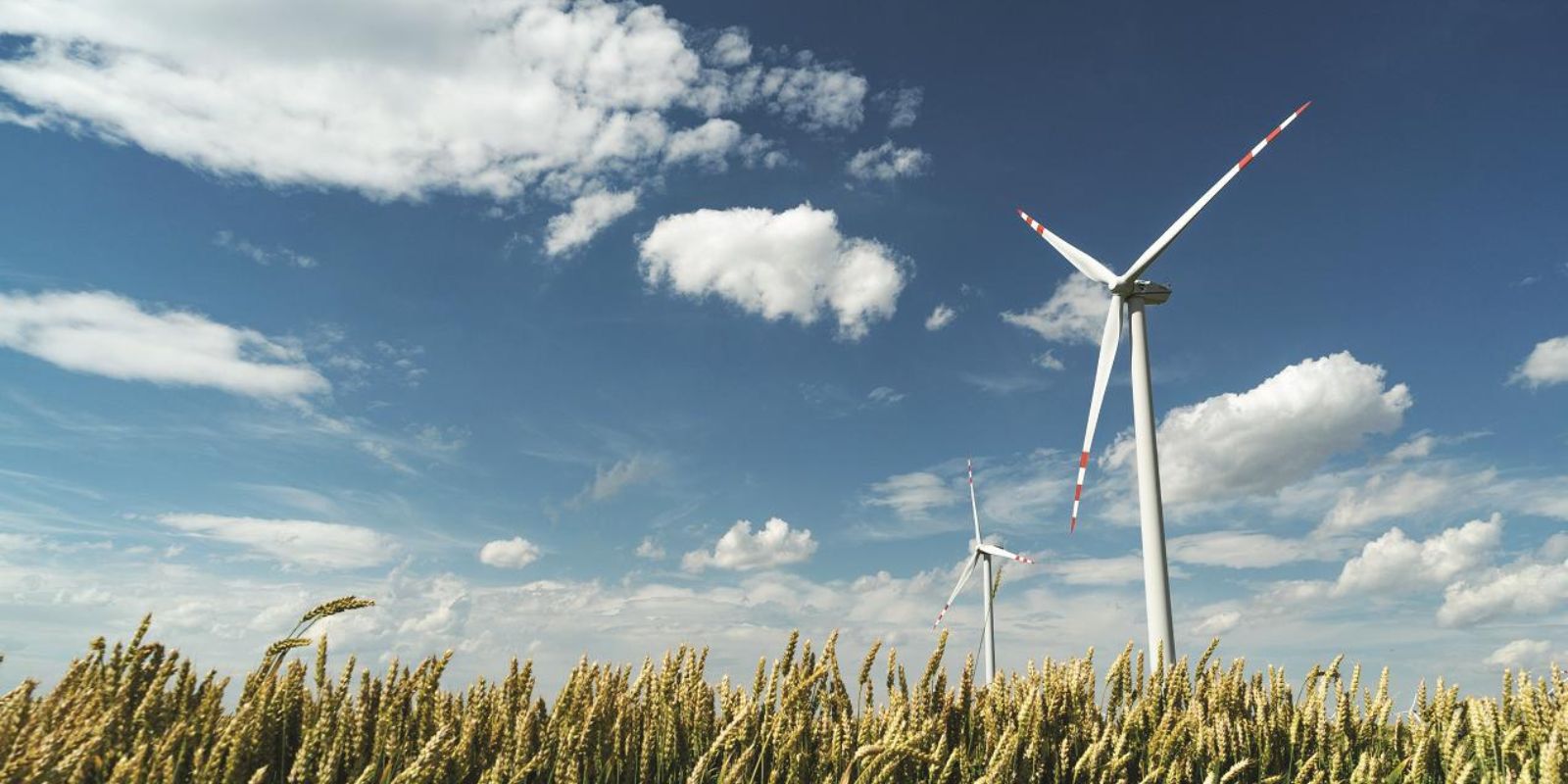 Our Latest FUTURE Magazine for 2023-24 is out - BFHU