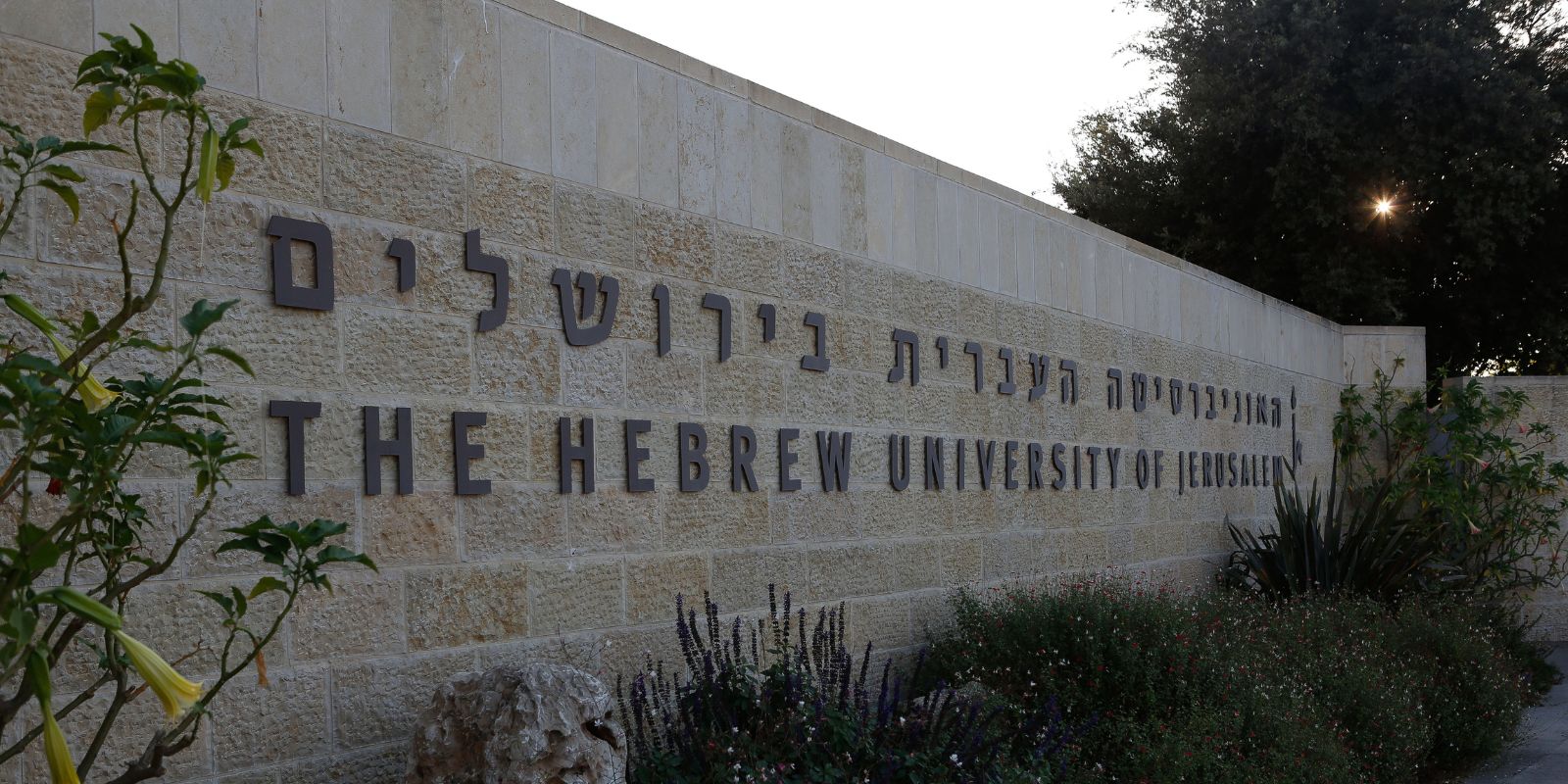 Yuval Bronstein Appointed Chairman of Hebrew University's Executive ...