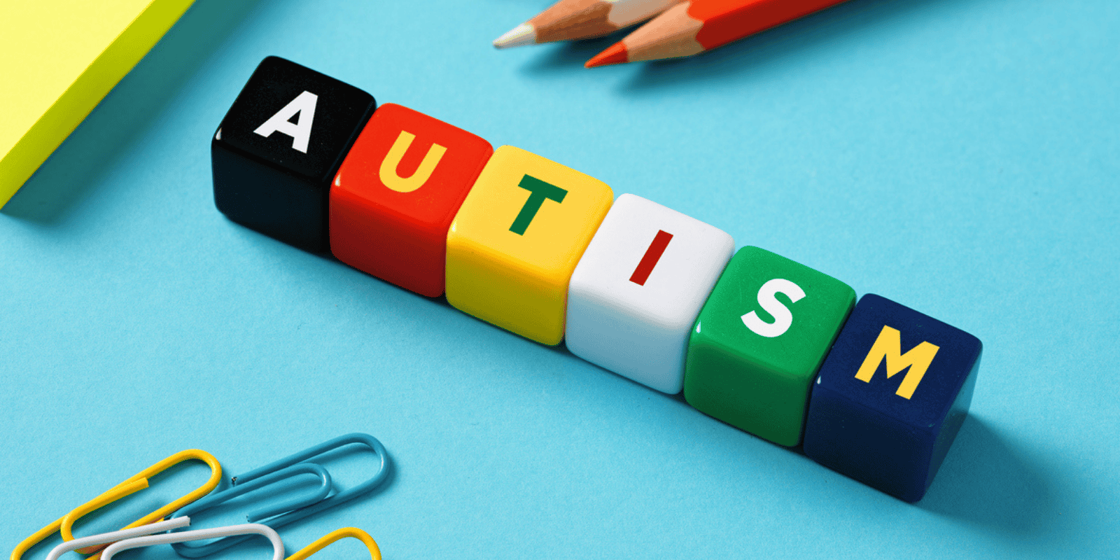 Autism and Neural Dynamic Range: Insights Into Slower, More Detailed ...